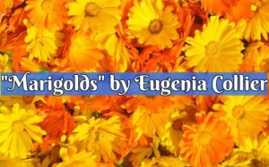 “Marigolds” Story Summary by Eugenia Collier: Short Story Analysis ...