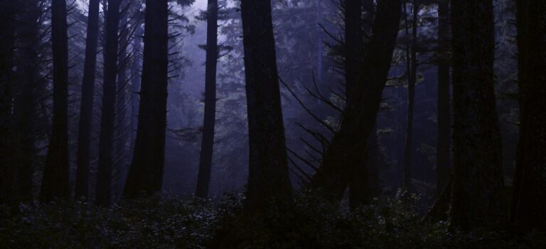 Best Ray Bradbury Short Stories List & PDF – Short Story Guide: