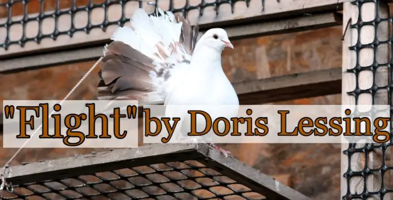 “Flight” by Doris Lessing: Summary of Short Story – Short Story Guide: