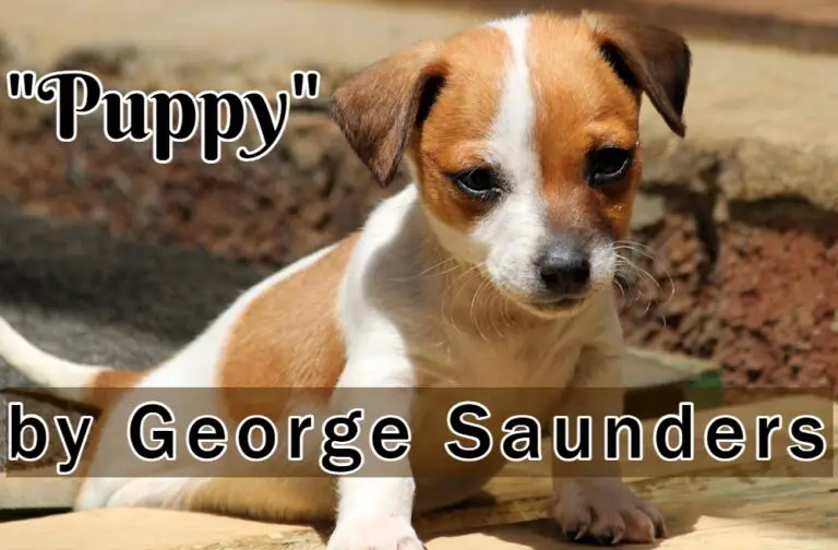 “Puppy”: George Saunders Summary – Short Story Guide: