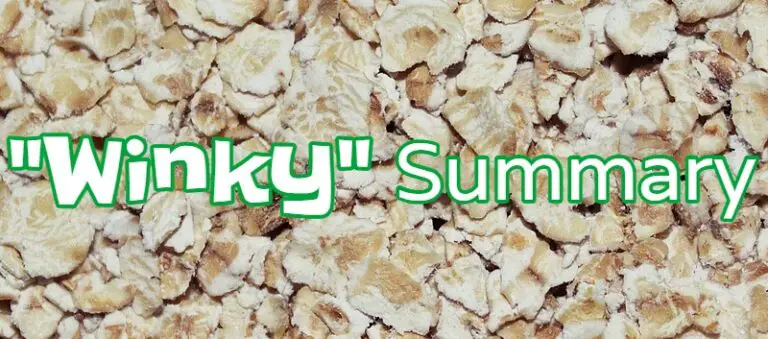 “Winky” by George Saunders Summary – Short Story Guide: