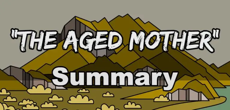 Summary of “The Aged Mother” by Matsuo Bashō & Themes (The Story of the ...
