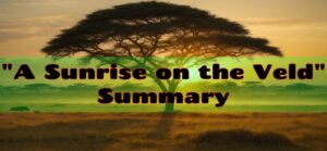 “A Sunrise on the Veld” Summary: Doris Lessing Short Story Plot ...