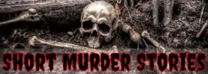 Murder Story: Short Murder Stories with Mystery – Short Story Guide: