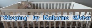 “Sleeping” by Katharine Weber Theme & Summary: Analysis of Short Story ...