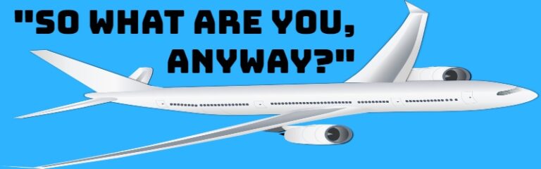 Summary of “So What Are You, Anyway” by Lawrence Hill – Short Story Guide: